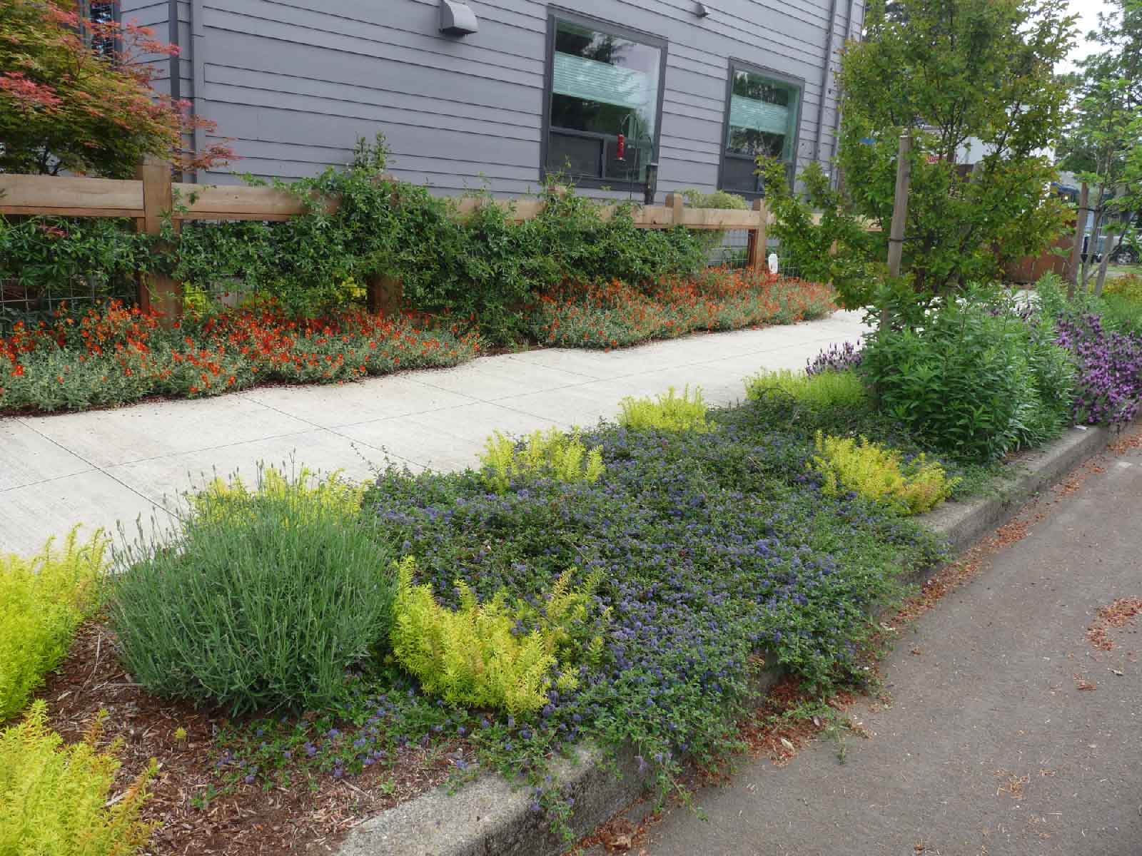 Services | Balanced View Landscaping